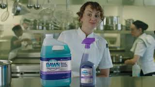 Procter & Gamble Dawn Manual Pot & Pan Detergent, Regular Concentrate ...