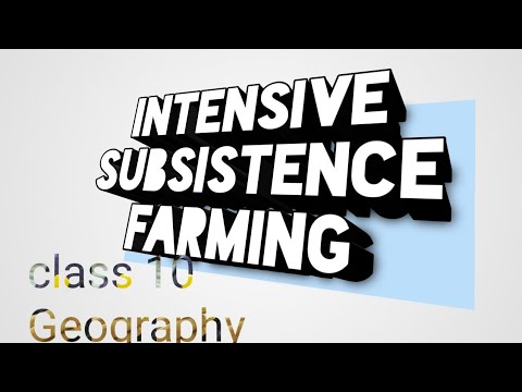 Intensive subsistence farming/Agriculture part2/10s.st
