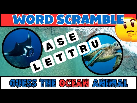 Dive Into This Fun Ocean Animals Word Scramble Quiz!