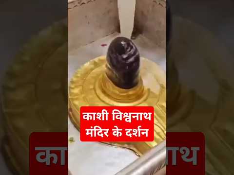लाइव दर्शन श्री काशी विश्वनाथ धाम || Live Darshan From Shree Kashi Vishwanath Temple Varanasi