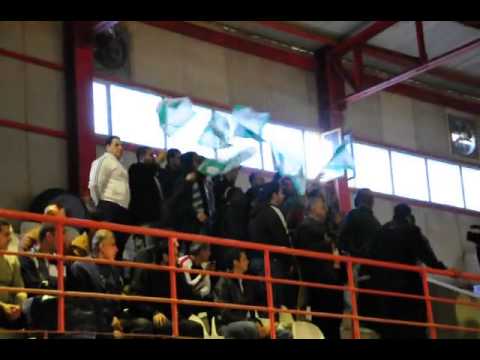 al shorta Basketball fans