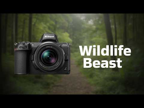 Nikon Z50 II: Great camera (with samples) (1784)