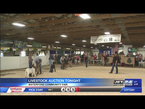 4-H, Future Farmers of America to hold Youth Livestock Auction
