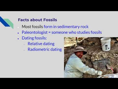 Fossil Record
