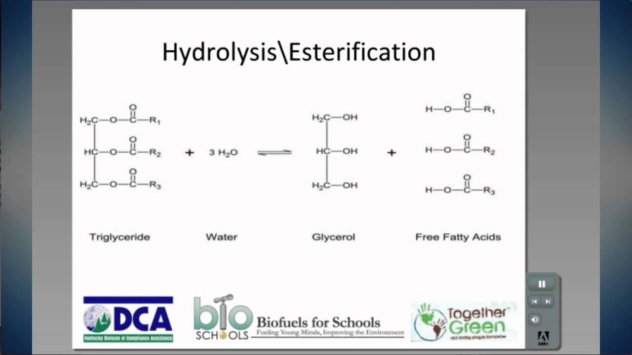 Biodiesel Learning Module 2