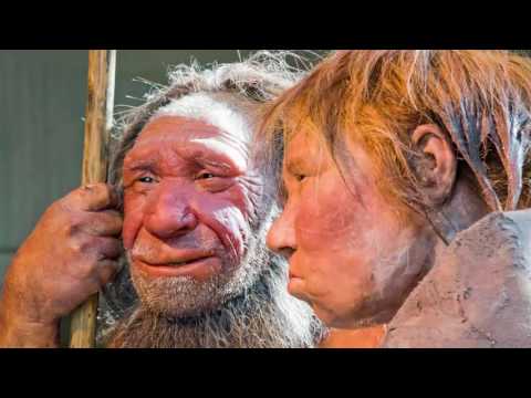 DNA: Neanderthal found in humans still influences our genes