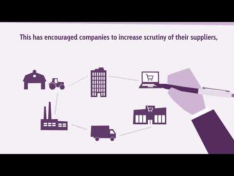 CPA UK Modern Slavery Project: 3. The Impact of Modern Slavery Legislation