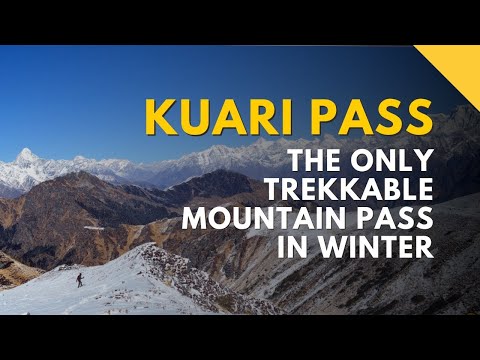 Kuari Pass Trek 2023 - Treks In Uttarakhand - Indiahikes