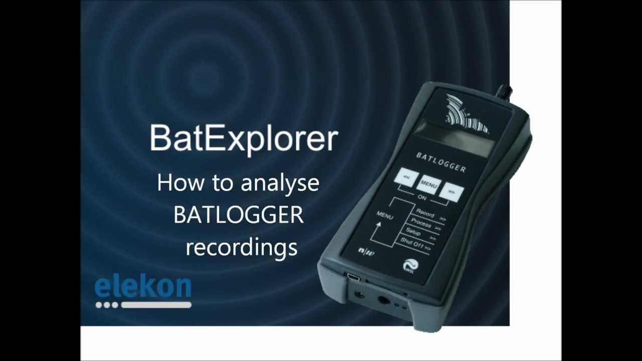 BatExplorer Tutorial: How to analyse BATLOGGER recordings