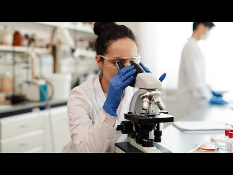 Earn Your Master’s in Microbiology Online with CSU