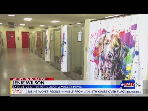 San Angelo Animal Shelter Faces Overcapacity Crisis