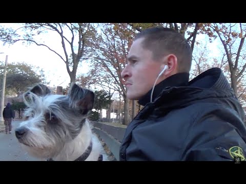 My Favorite Place in NYC, Ramble About Channel Integrity & Surprise Marathon Unboxing