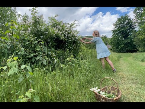 Old Stone Well Farm: Something Borrowed, Something Blue