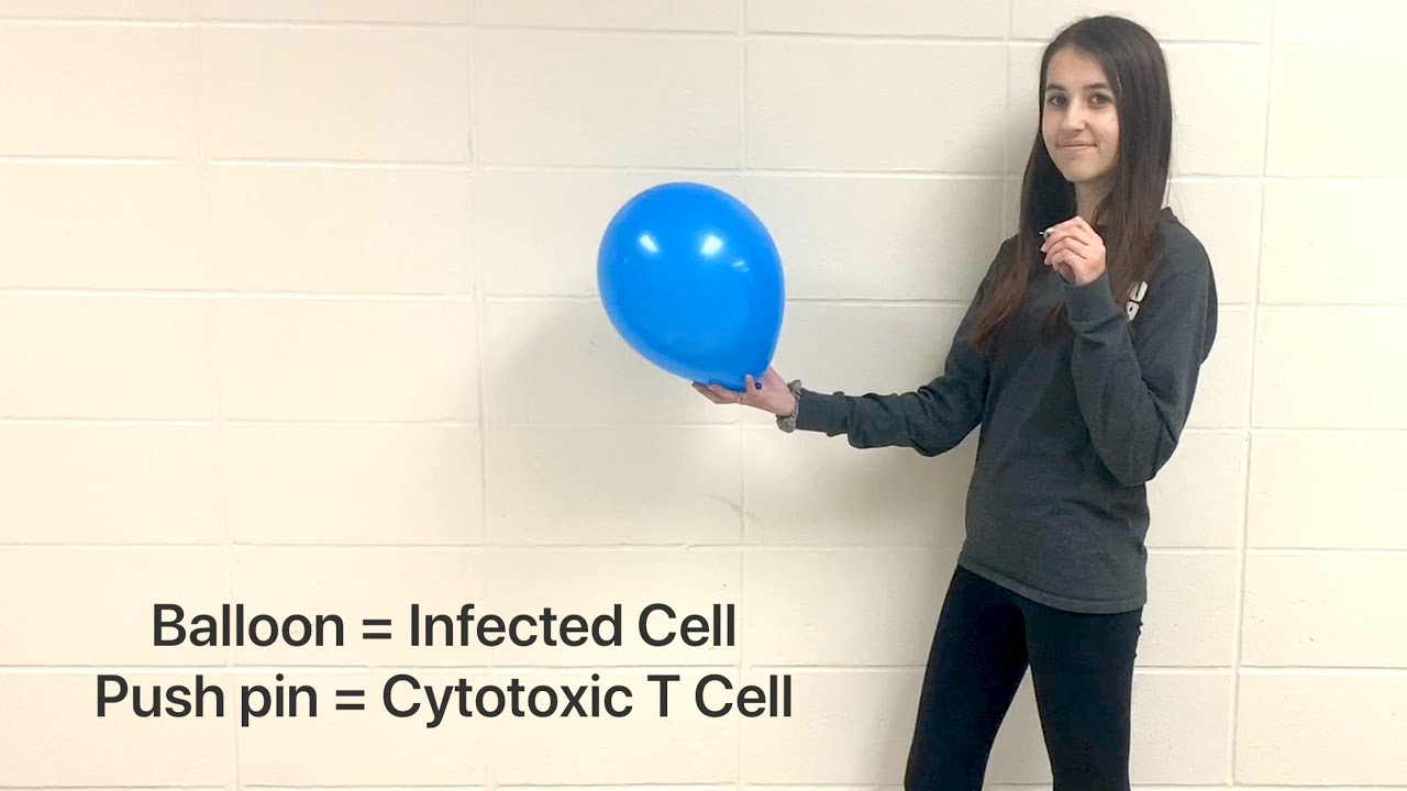 Science Ambassador Scholarship: Immunity