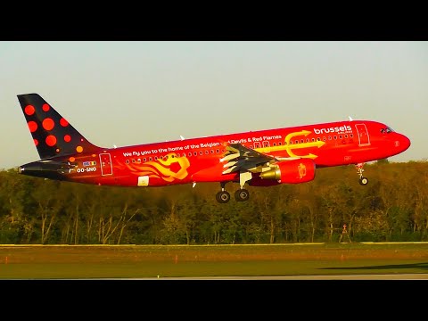 Plane Spotting at Budapest Airport, Close Up Arrivals | 16-10-24
