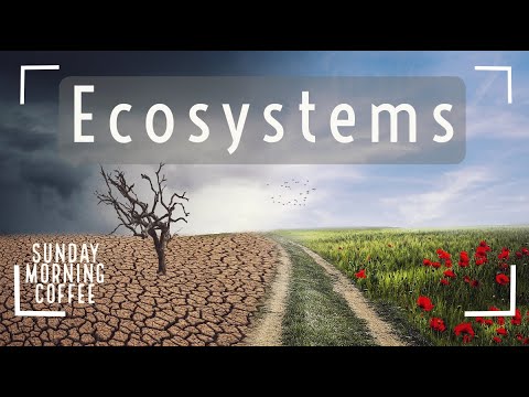 Ecosystems of the World - SUNDAY MORNING COFFEE - AQA GCSE 9-1 Geography 2021