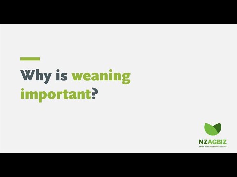 Why is weaning important?