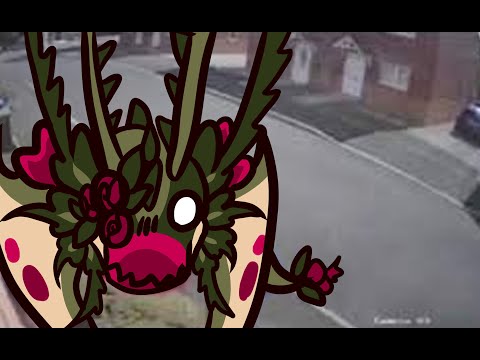 Skulderouge be like: | Boss Meme | Creatures of Sonaria