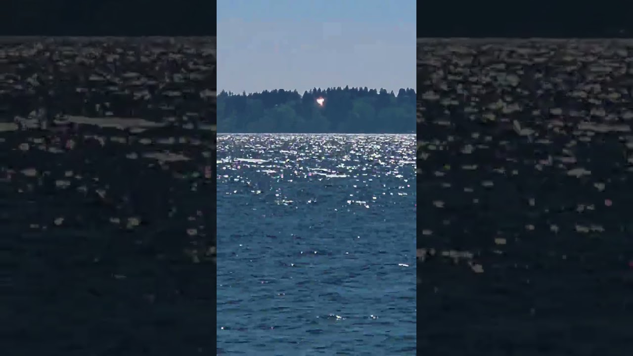 wow ✨️ #water #adapting