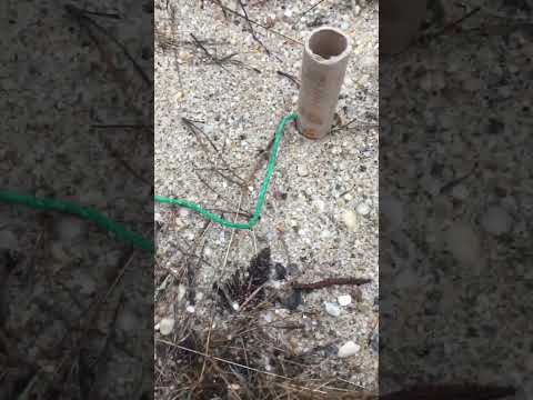 Homemade crackle mini mine shell #fireworks #pyrotechnics #pyro