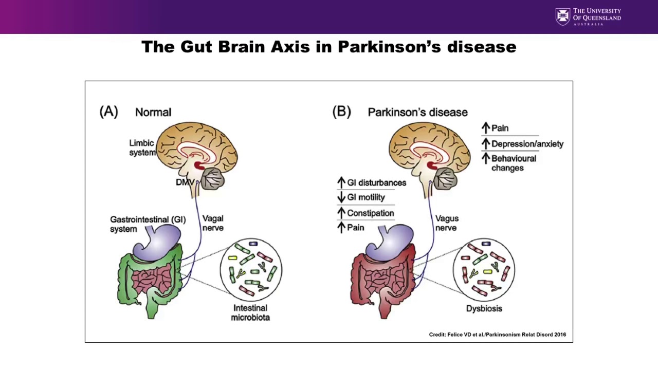 Webinar - Dr Richard Gordon