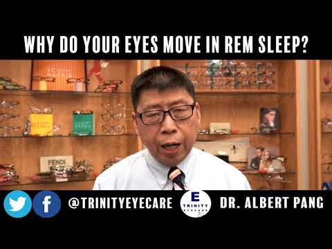 Why Do Your Eyes Move in REM Sleep? | Dr. Pang, Trinity Eye Care