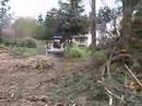 Brush Mulching With an ASV RC-100 and FAE
