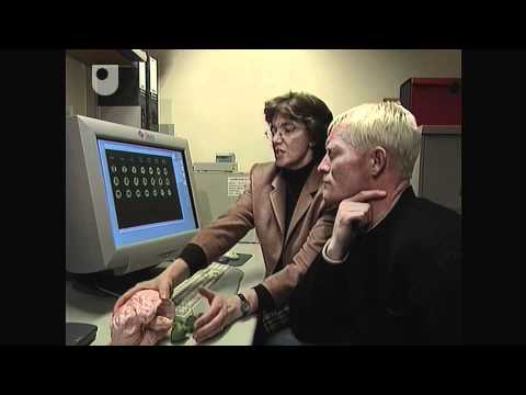 Physiological Aspects of Addictions - Investigating Addiction (1/6)