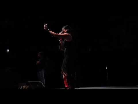 Angie Meier- Dream Hunt Foundation 2024