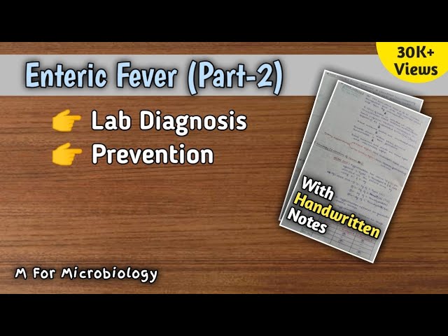 Understanding the Lab Diagnosis and Prevention of Enteric Fever | Galaxy.ai