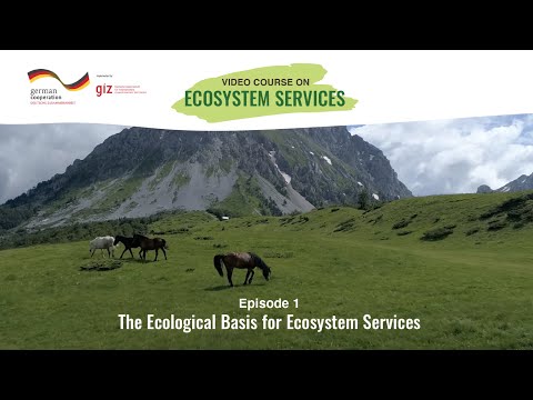 Episode 1 - The ecological basis for ecosystem services