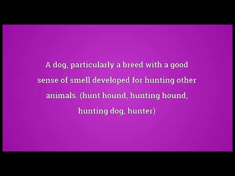Hound Meaning