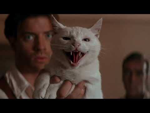 Hug Cats! | Multifandom fanvid