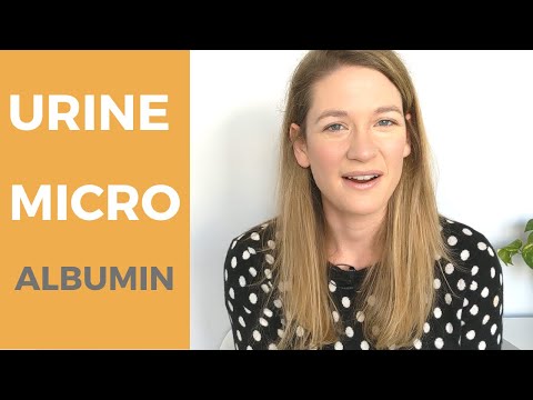 Microalbuminuria Case Study: Lab Interpretation for Nurse Practitioners
