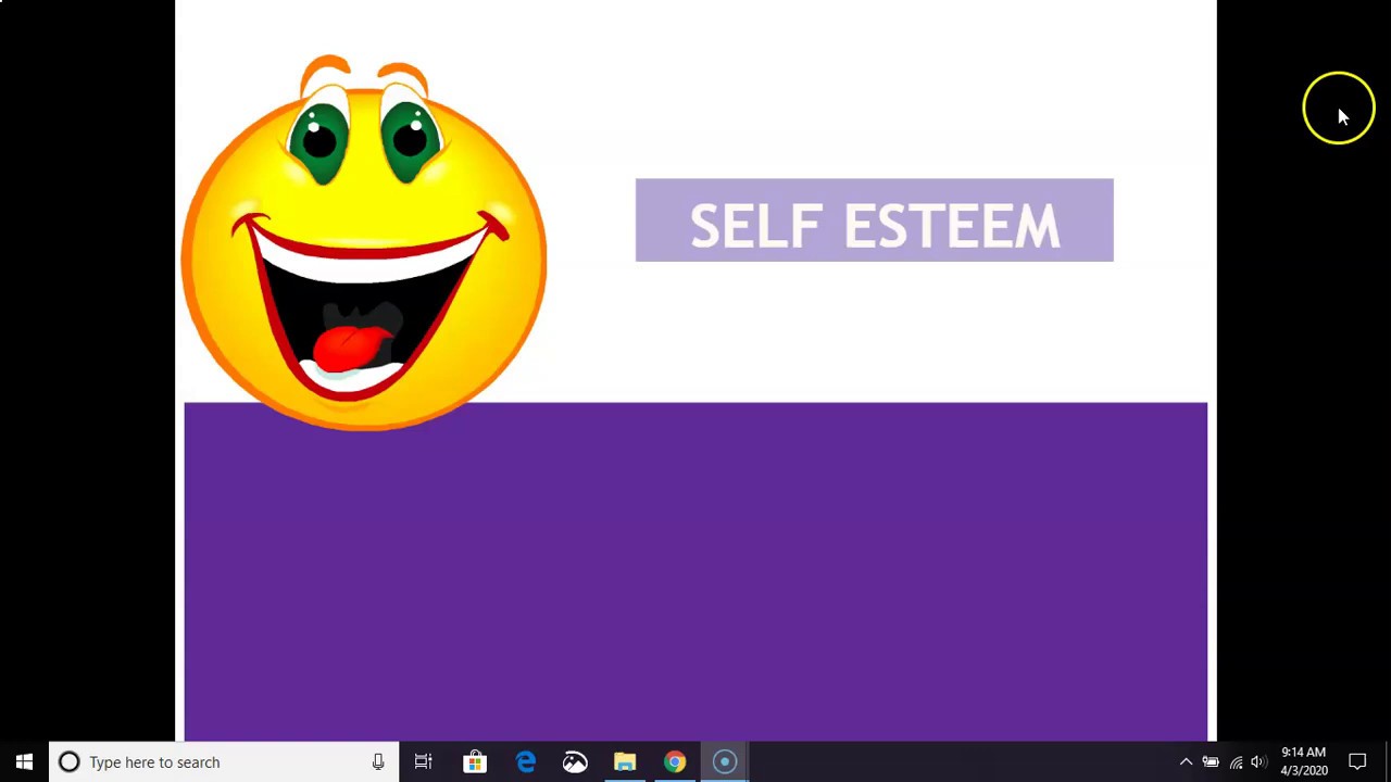 Self Esteem & Values