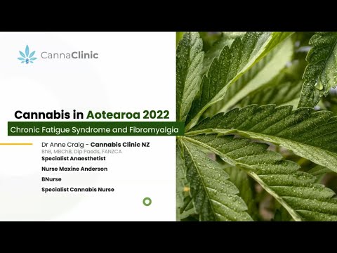 Medicinal Cannabis in NZ - use for ME/CFS and Fibromyalgia