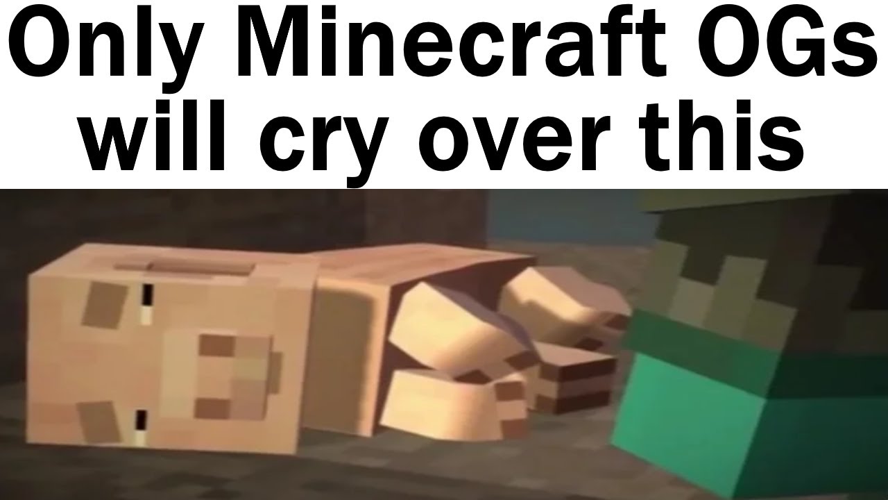 Minecraft Memes 84