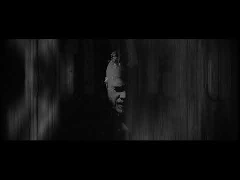 Franklin Zoo - The Dandelion Child (Official Music Video)