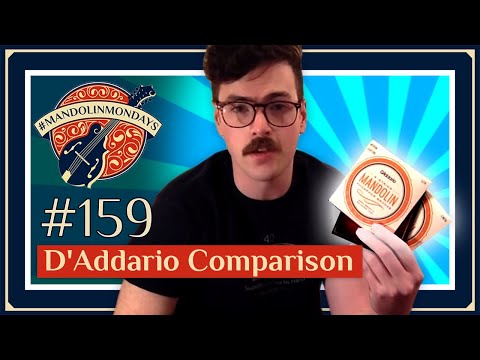 D'Addario String Comparison /// David Benedict Mandolin