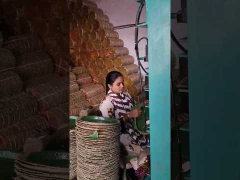 Plain Paper Plate - White Paper Plate Latest Price, Manufacturers ...