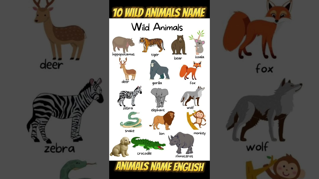 10 wild animals name in english || animals names  | name of wild animals || जंगली जानवरों के नाम