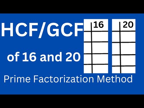 HCF of 16 and 20 l GCF of 16 and 20