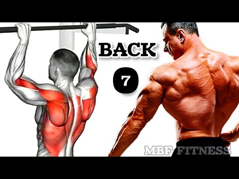 FULL BACK WORKOUT | Lower Back - Upper Back - Middle Back - The Best Back Exercises