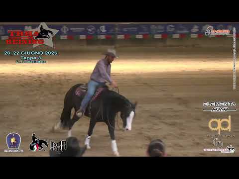 3 tappa TRHA 2025 - MENICI LUCA & RR LOUSTICKS CASH owner BINI TERESA score 70,5