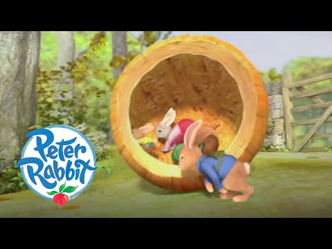Peter Rabbit - The Pumpkin Roll basi…: English ESL video lessons