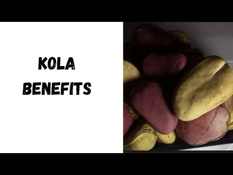 Health Benefits Of Kola