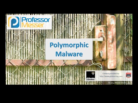 Polymorphic Malware - CompTIA Security+ SY0-401: 3.1