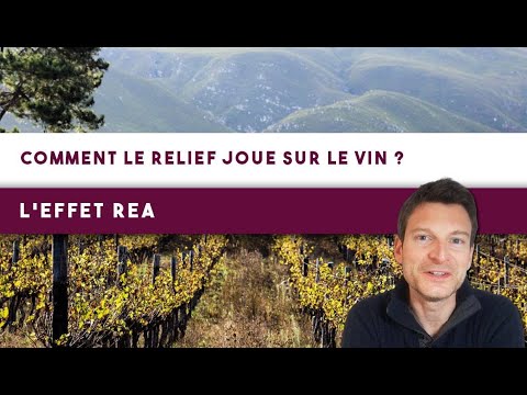 L’effet REA : Comment le RELIEF joue sur le climat et le profil du VIN ? (Leçon n° 124