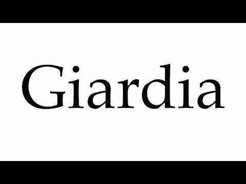 How to Pronounce Giardia