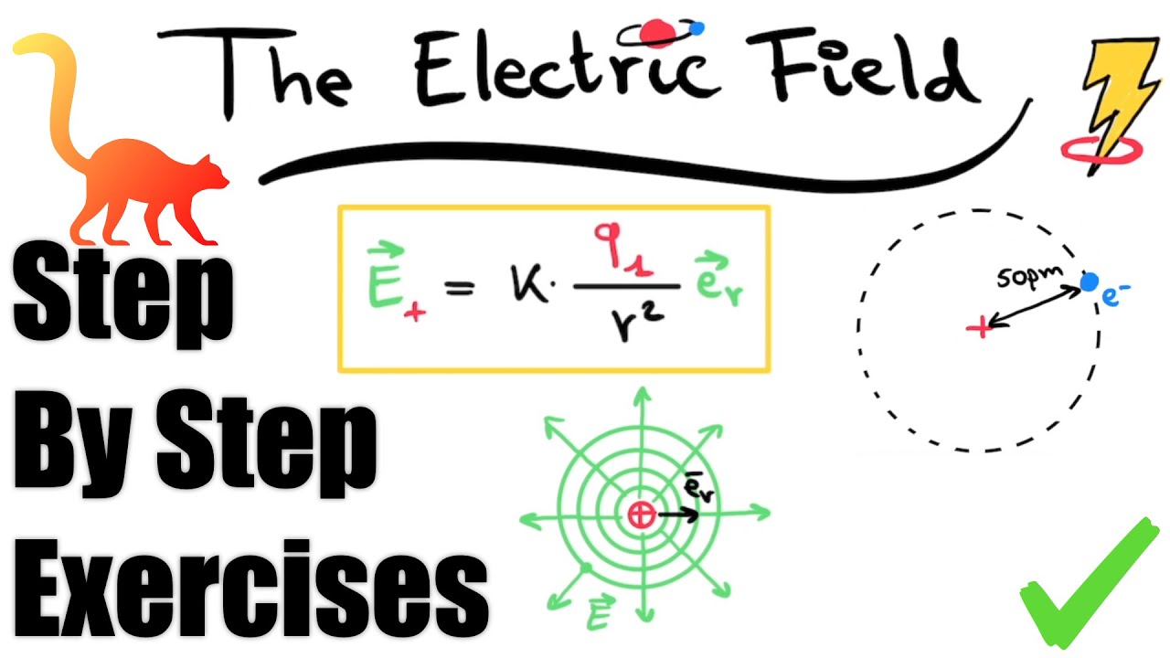 The Electric Field - Exercise (step-by-step)